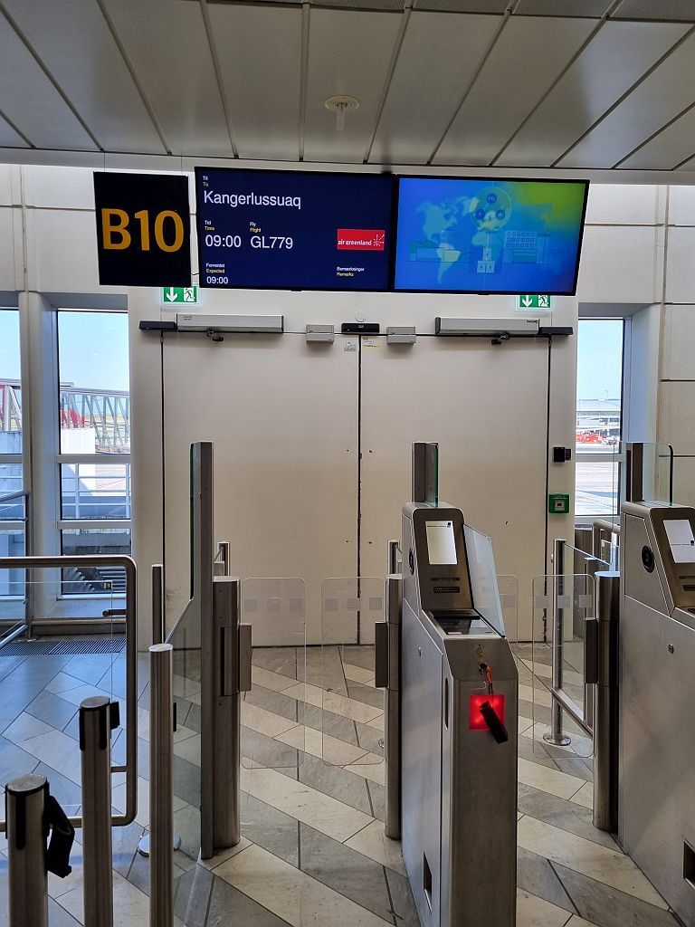 Muktuk, Suaasat, Musk-Ox and no Moonlight at all - a trip to Greenland ...