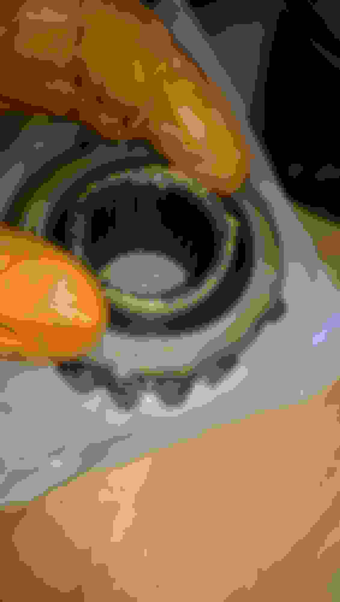 ESOF Hub Clicking- How to repair/rebuild? - Page 2 - Ford Truck ...