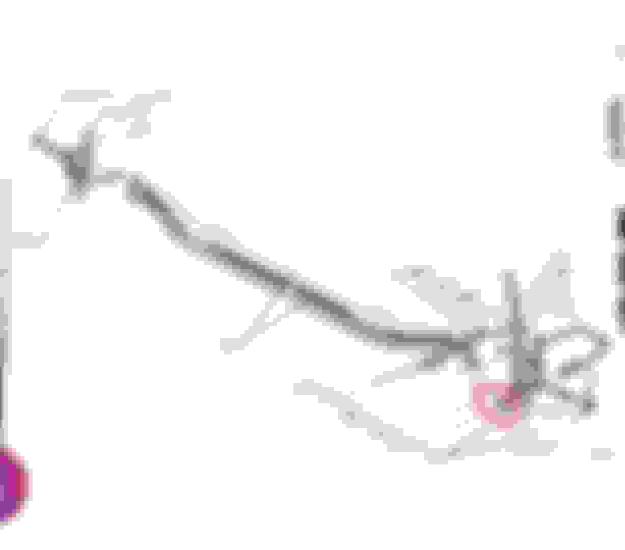 F1 Steering Arm to Knuckle Nut Help - Ford Truck Enthusiasts Forums