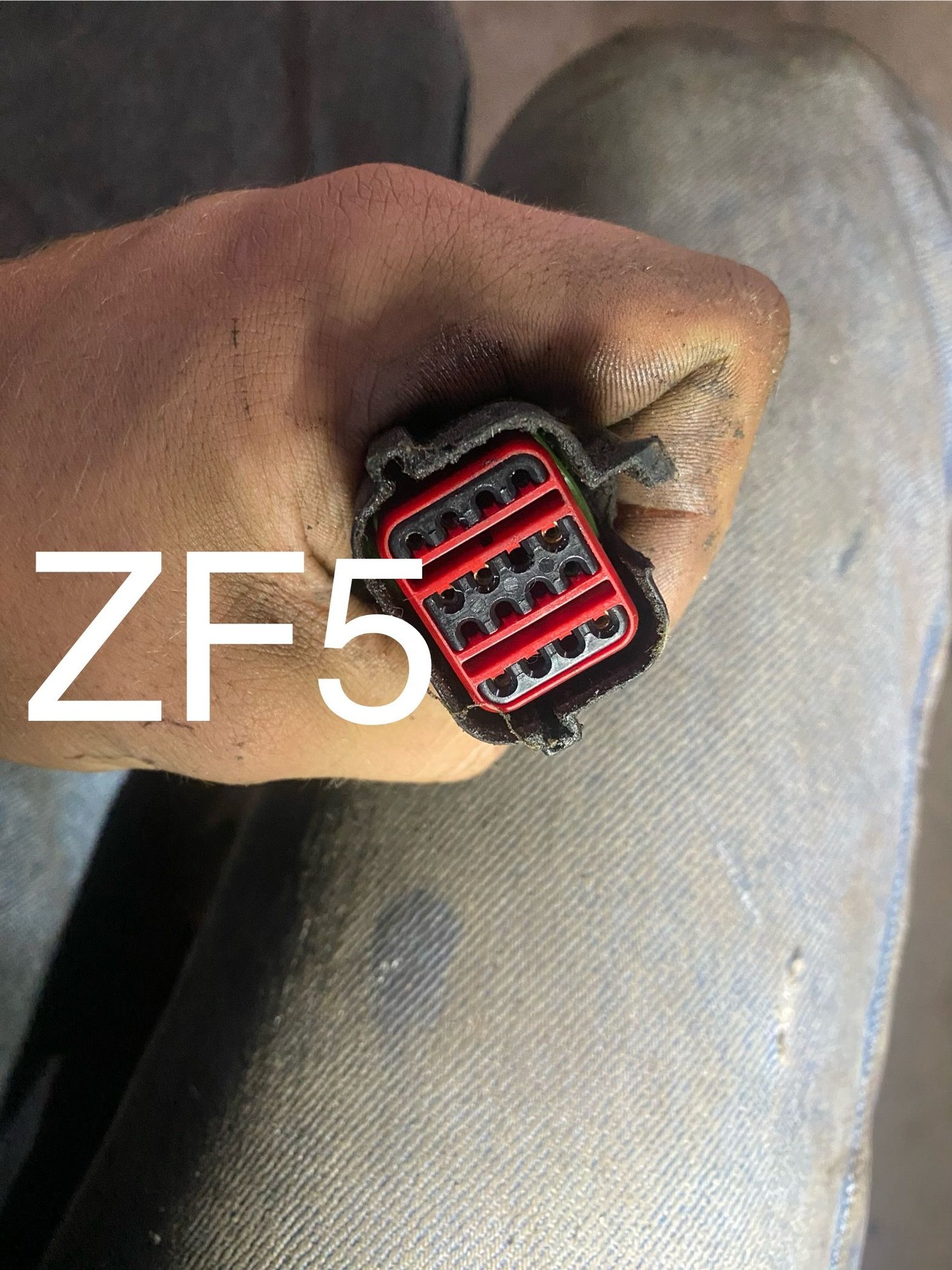 C6 To ZF5 Wiring Question - Ford Truck Enthusiasts Forums