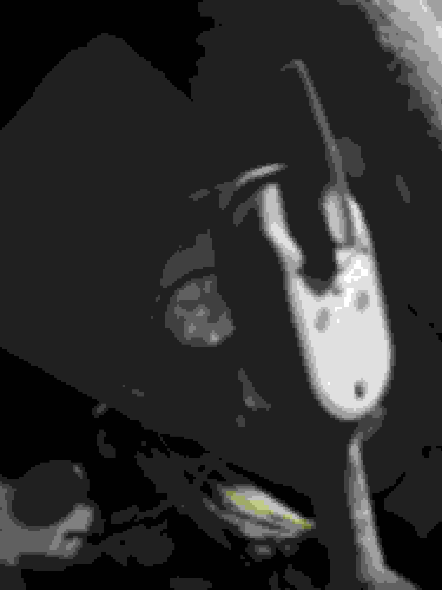 1936 Rusto-mod - Ford Truck Enthusiasts Forums