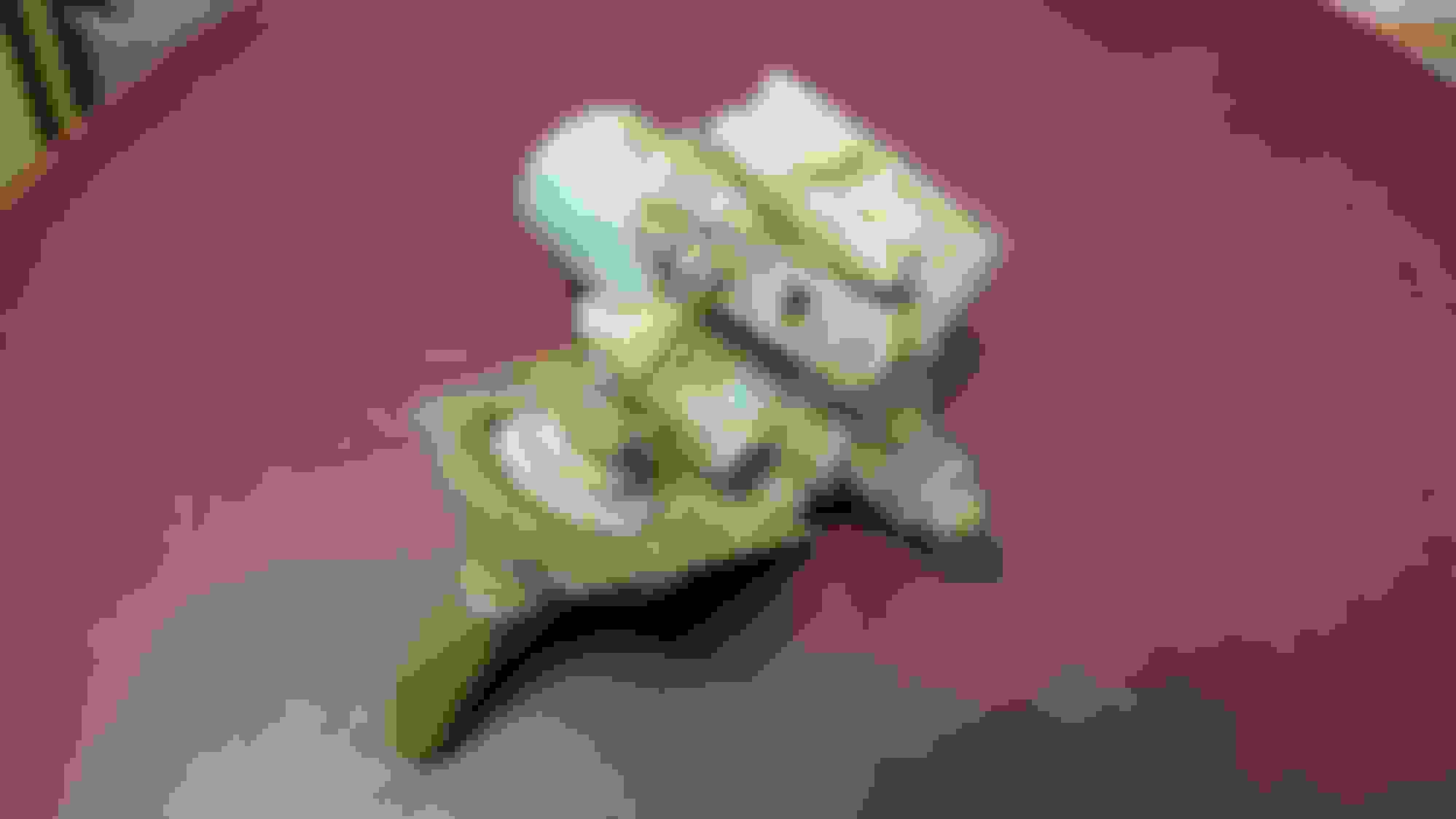 Stewart Warner Speedo shifter diaphragm - Ford Truck Enthusiasts Forums