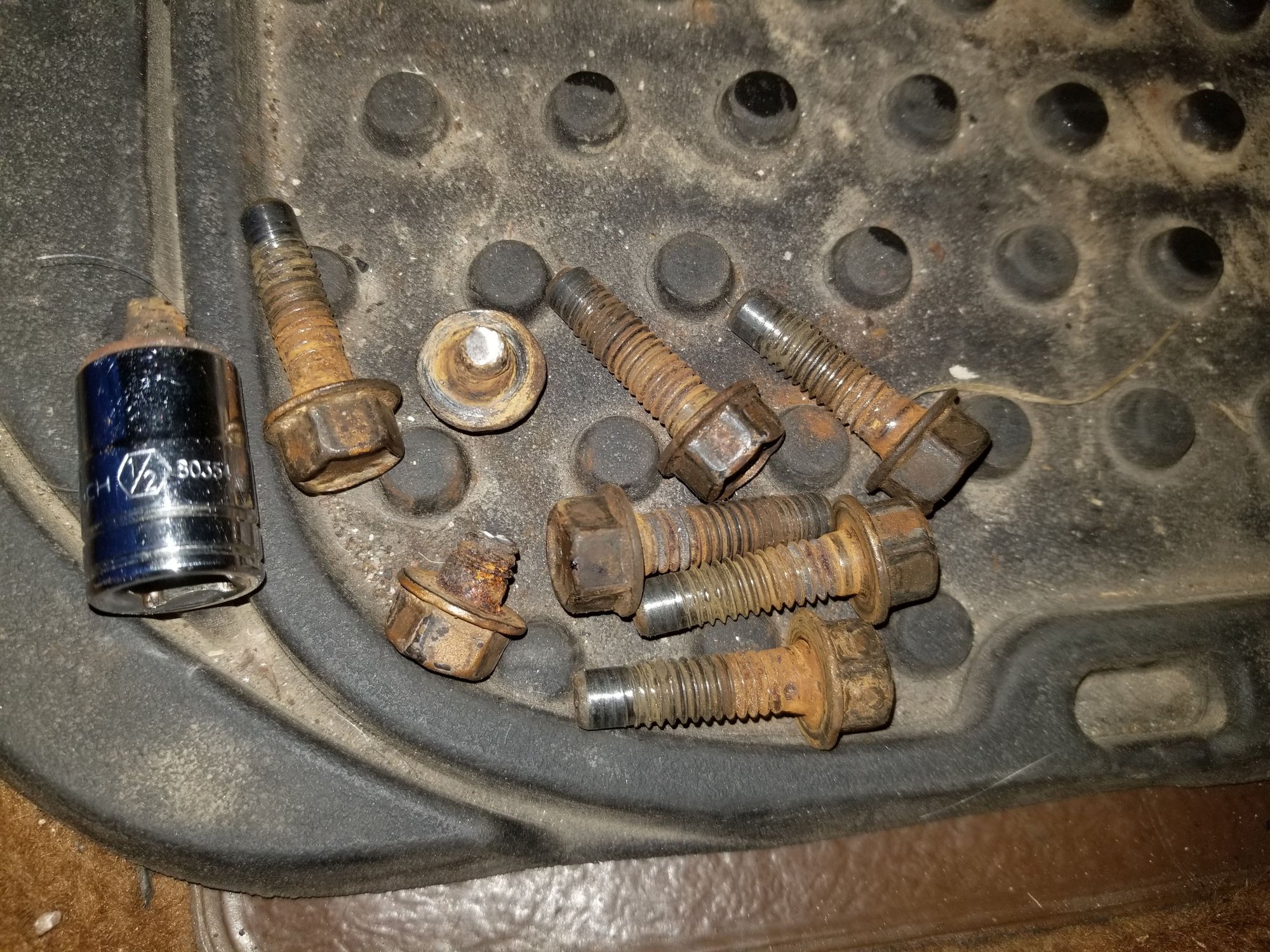 Where do I go from here??? Door hinge bolts toast - Ford Truck ...