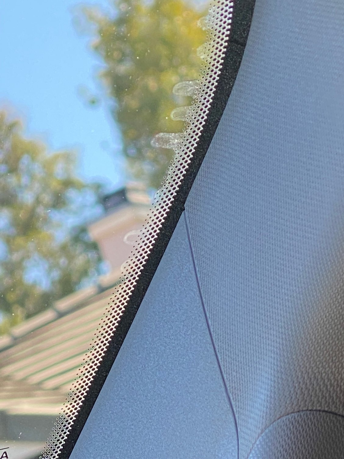 Windshield Issue Delamination?? - Ford Truck Enthusiasts Forums