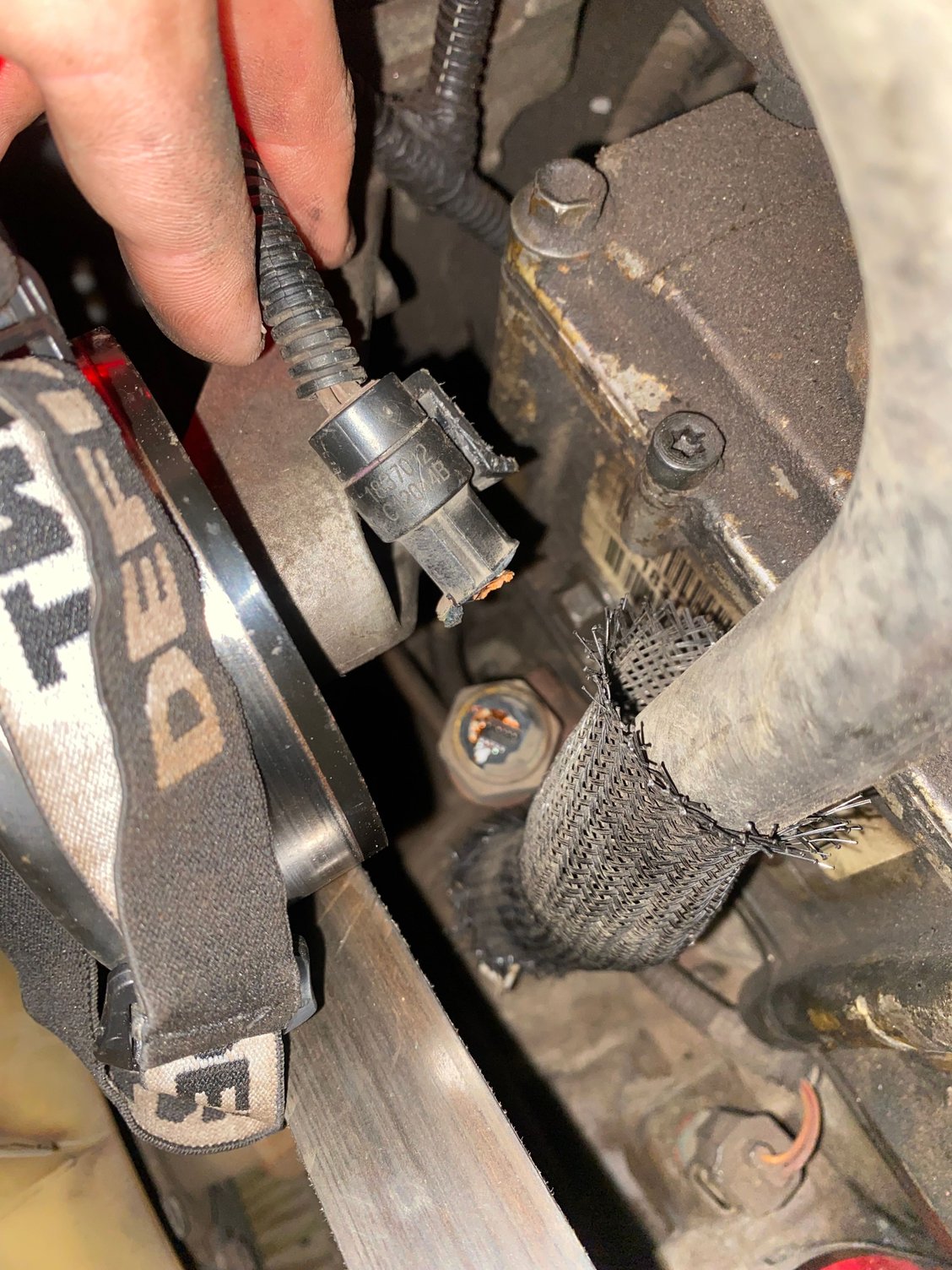 Exhaust Back Pressure Sensor - Ford Truck Enthusiasts Forums