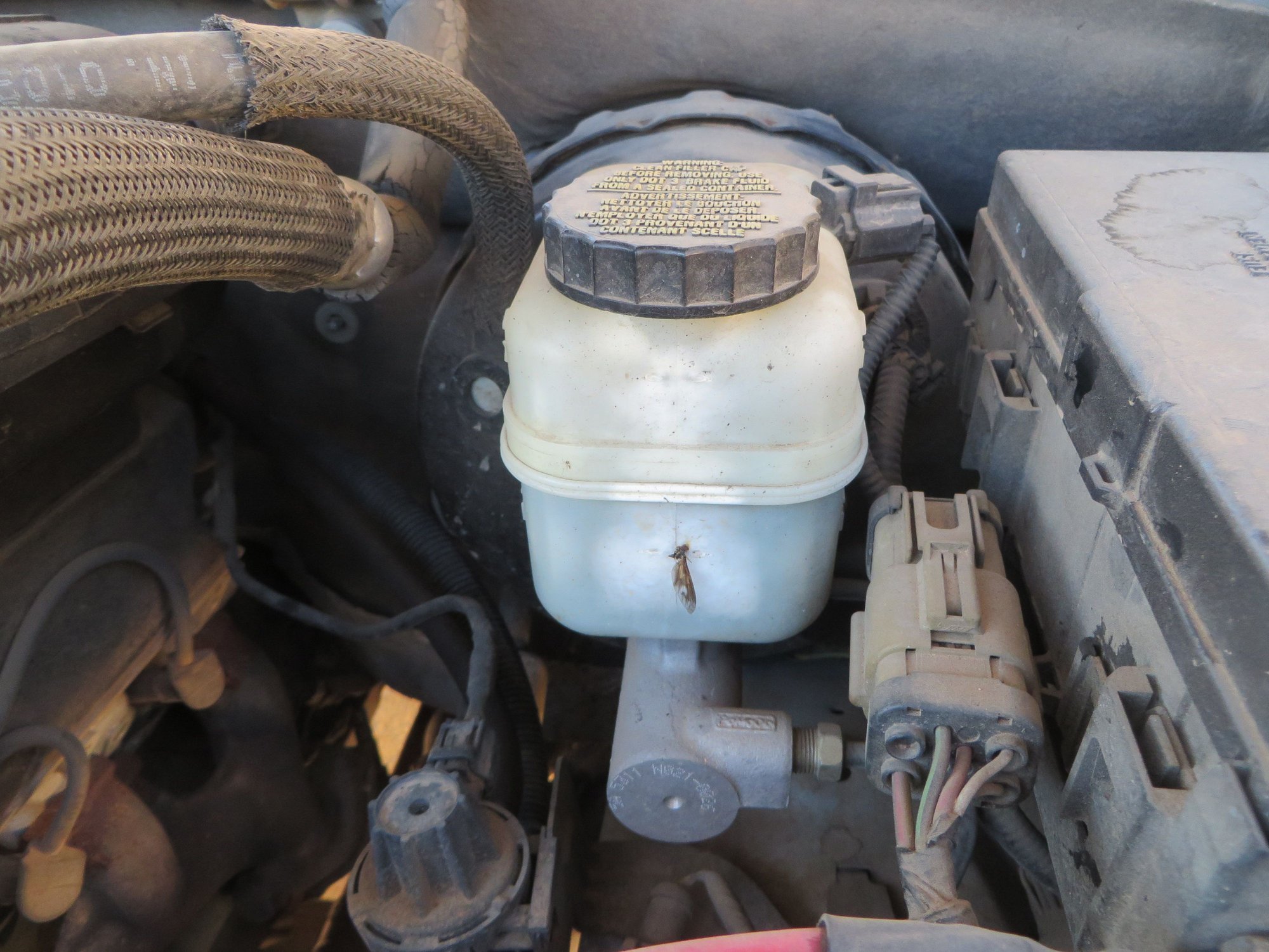 2006 4.0l Explorer - Cruise Control switch location - Ford Truck ...