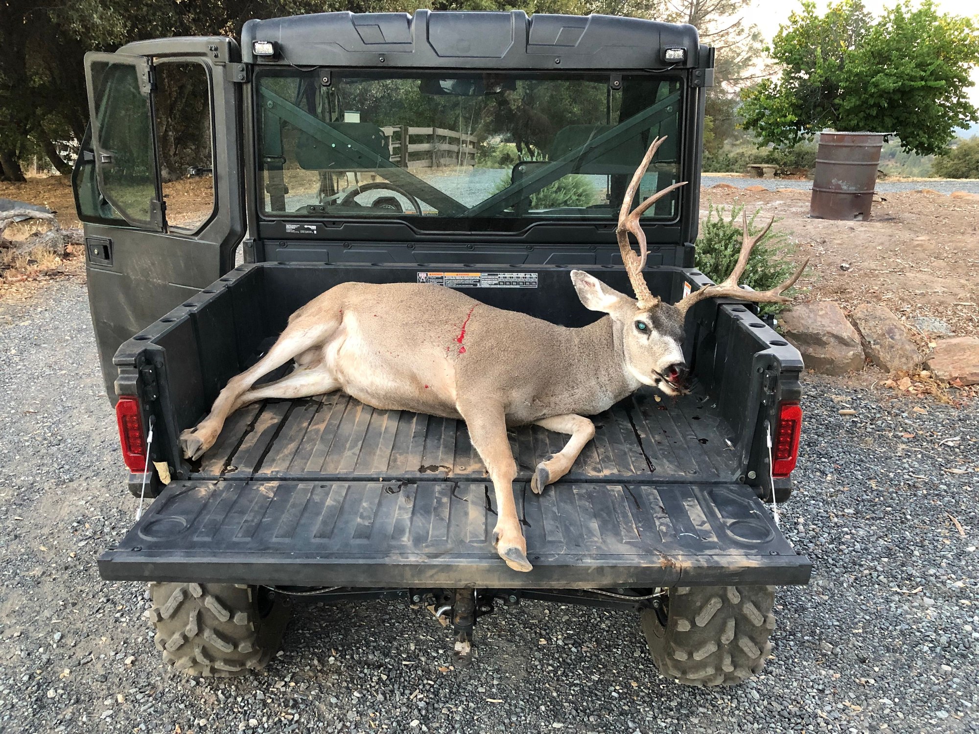 My little Deer Hunt this year. - Ford Truck Enthusiasts Forums