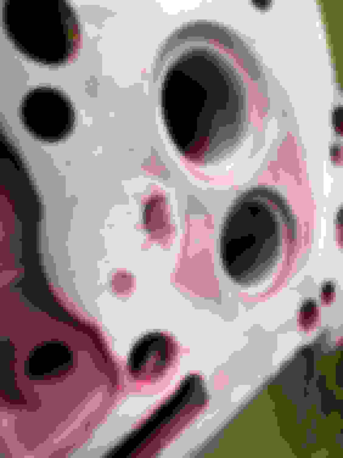 7.3 IDI Turbo Build for '87 F350 Crew Cab 4x4 Dually - Ford Truck ...