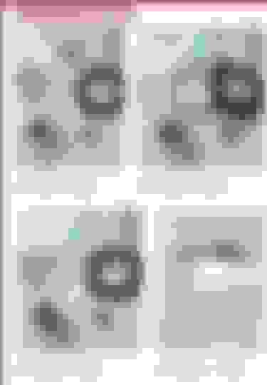 Ignition Control Module (TFI) Re-location - Ford Truck Enthusiasts Forums