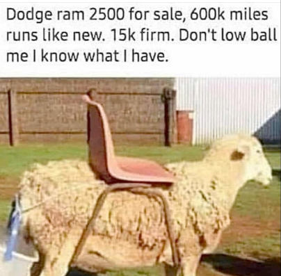 The Safe for GNAC Joke Thread!!! - Page 532 - Ford Truck Enthusiasts Forums