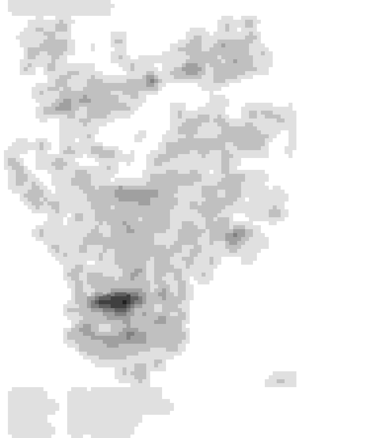 4r100 with endless fluid - Ford Truck Enthusiasts Forums