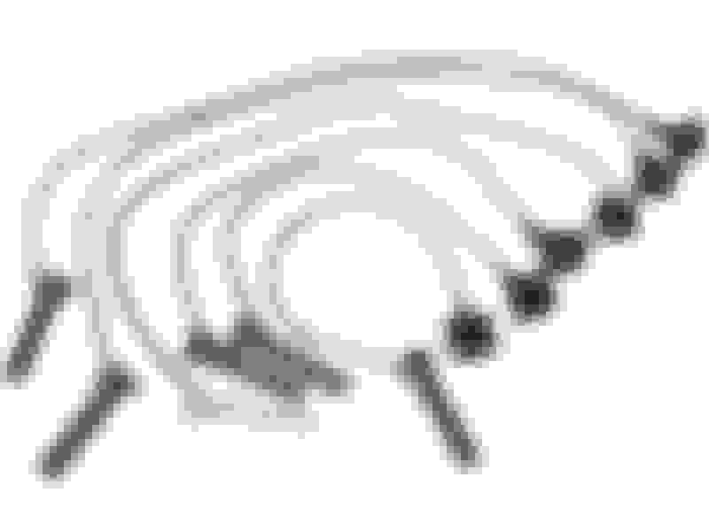 why is one igniton wire gray in the motrcraft set - Ford Truck ...