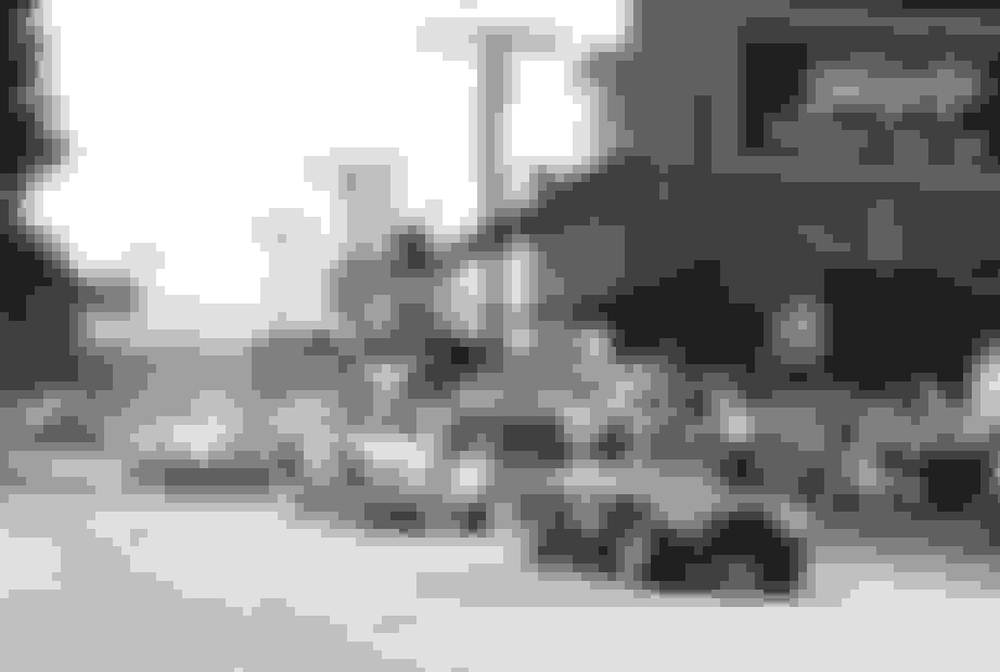 OT--Vintage Elkhart Lake pic with a monkey face - Ford Truck ...