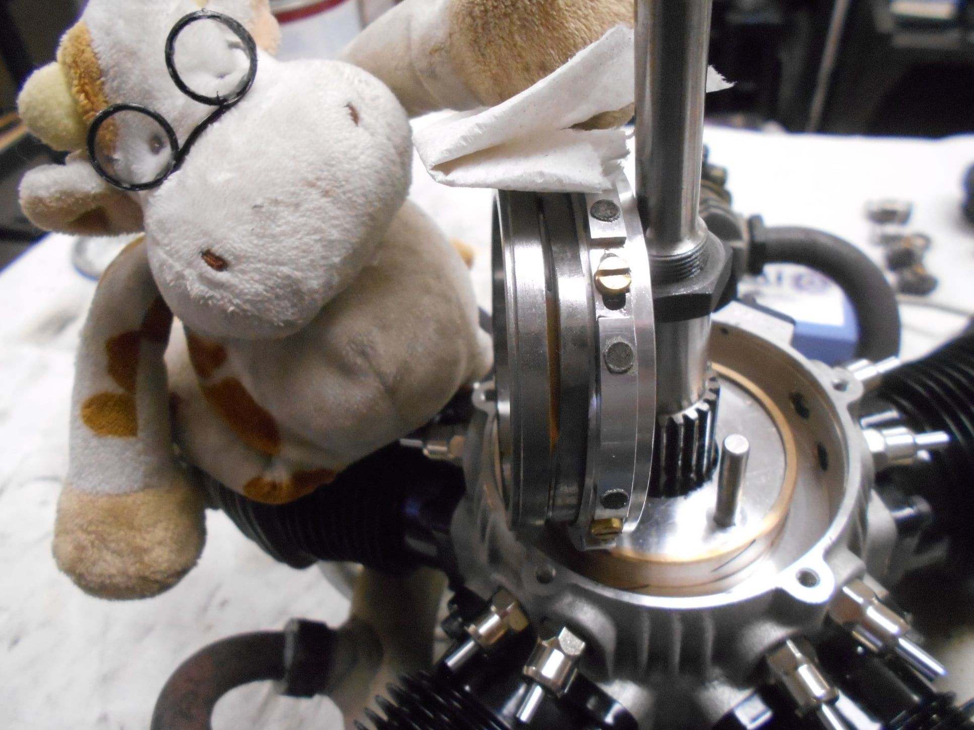 MOKI RADIAL Care and Maintenence - Page 204 - RCU Forums