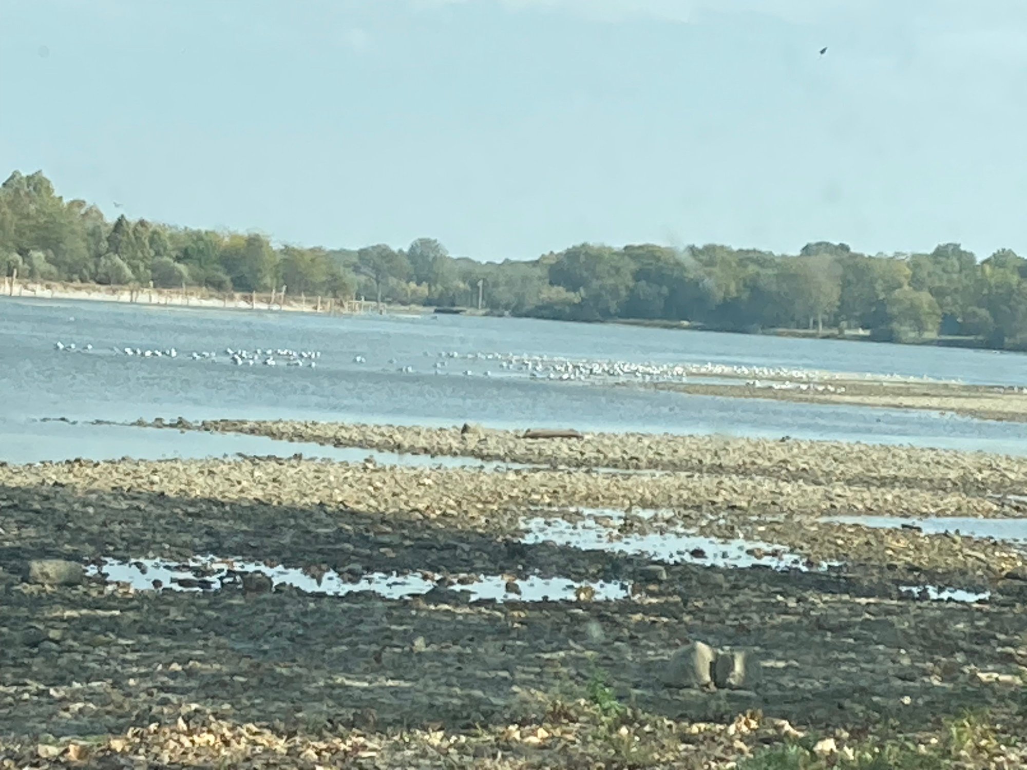 What do I need to buy to add trim/tilt to 40HP Yamaha - The Hull Truth ...