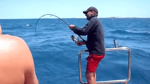 Fail Gifs - Page 5 - The Hull Truth - Boating and Fishing Forum
