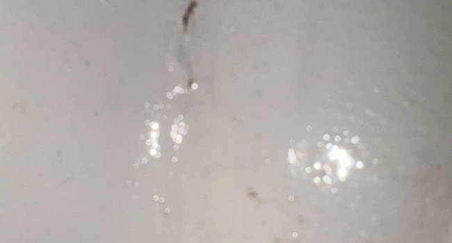 Wyndham Apartments Reviews - Memphis, TN | 7542 Legacy Drive | 44 ...