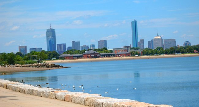 Harbor Point Apartments - 221 Reviews | Boston, MA Apartments for Rent ...